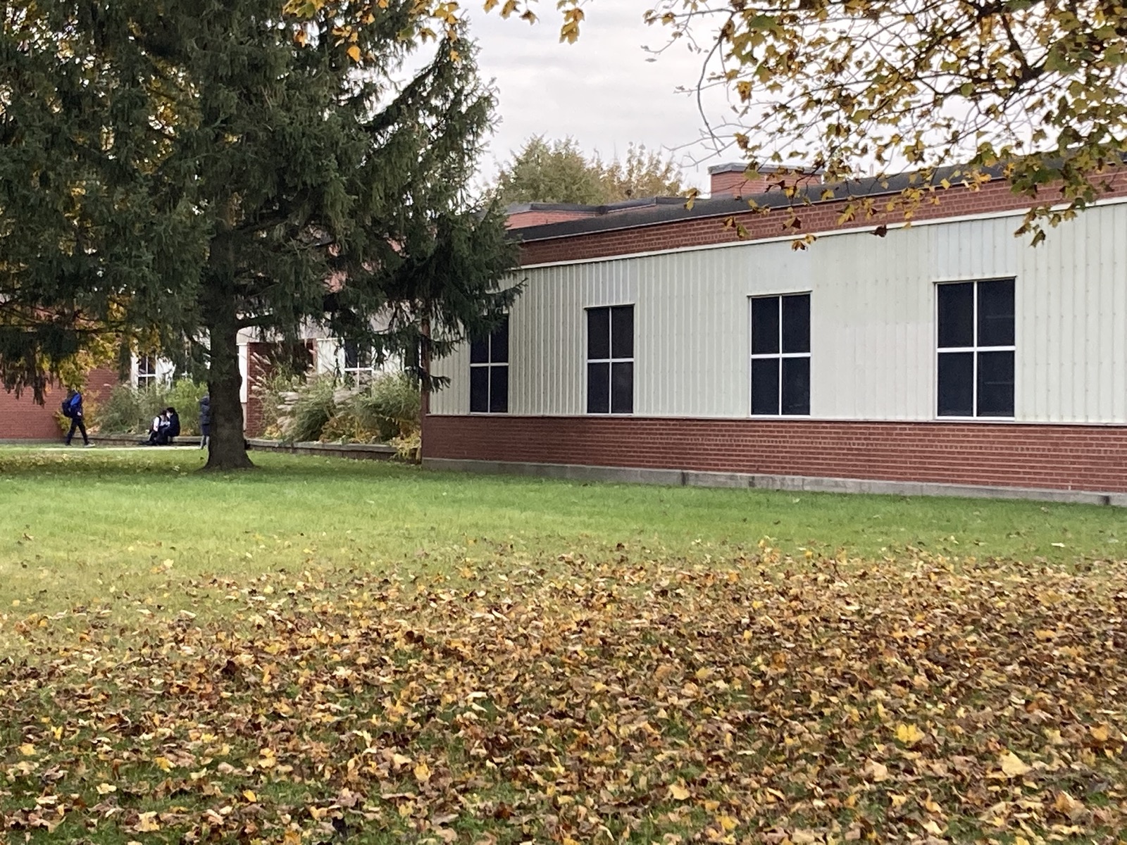 Armoured Guard Security Screens - Protect & Secure Your Property